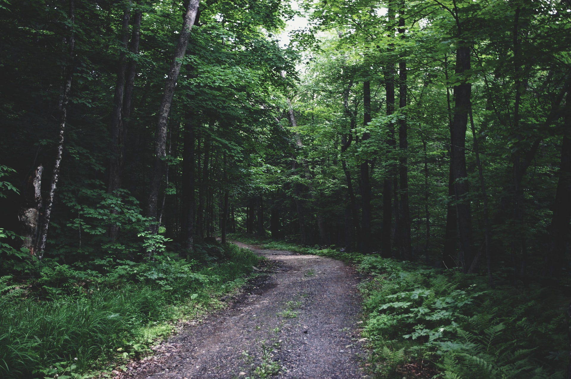 Dangerous Hikes In The World - The Purvue